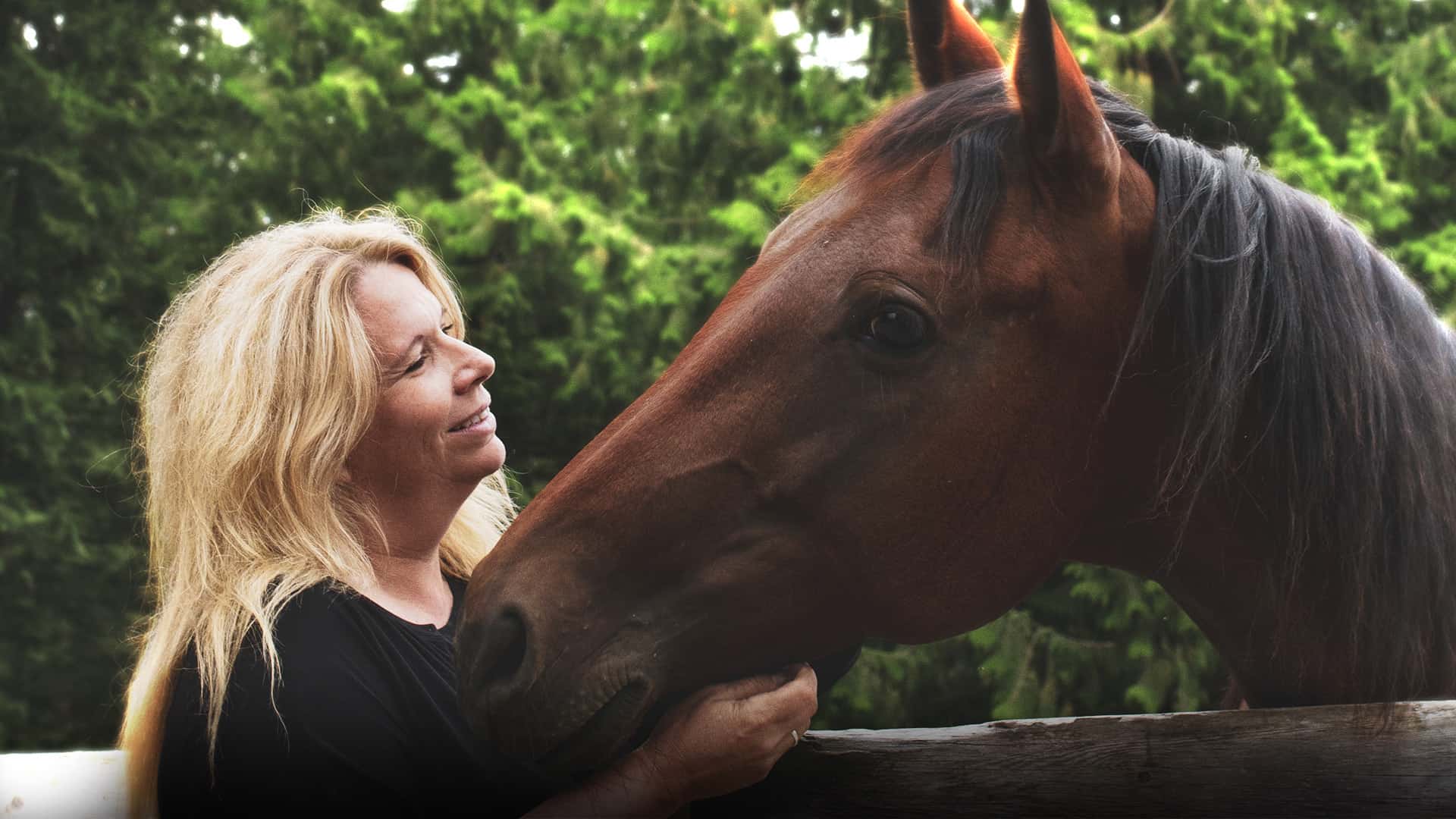 Elles parlent aux animaux - Sphere Media Productions