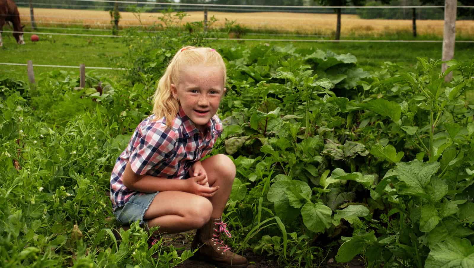 Gabby's Farm - Sphere Media Productions